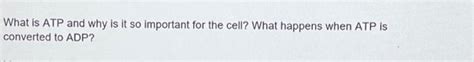 Solved What Is ATP And Why Is It So Important For The Cell Chegg Com