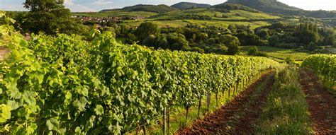 Rural Development Administration