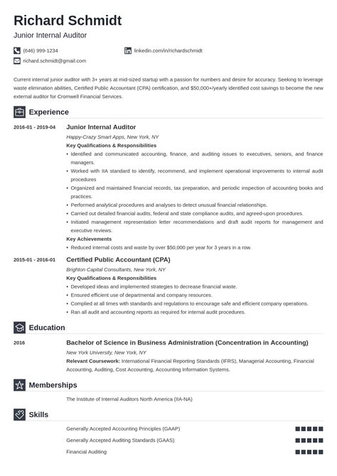 Auditor Resume Sample And Guide 20 Examples