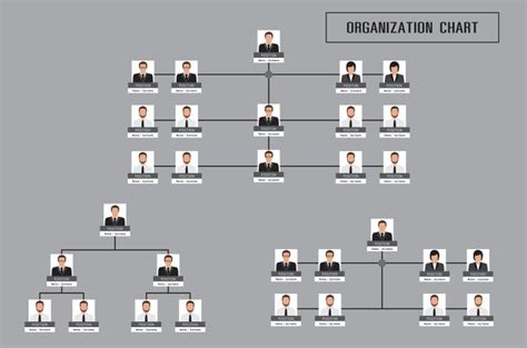 Organization Chart Tree Company Corporate Vector Image