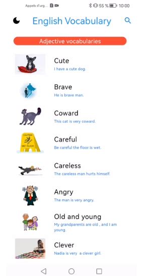 Flutter Learn Englsih Vocabulary App English Course App Source Code Source Code Sellanycode