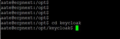 Keycloak Installation Ubuntu 20 04 Production Environment SYNCBRICKS Information