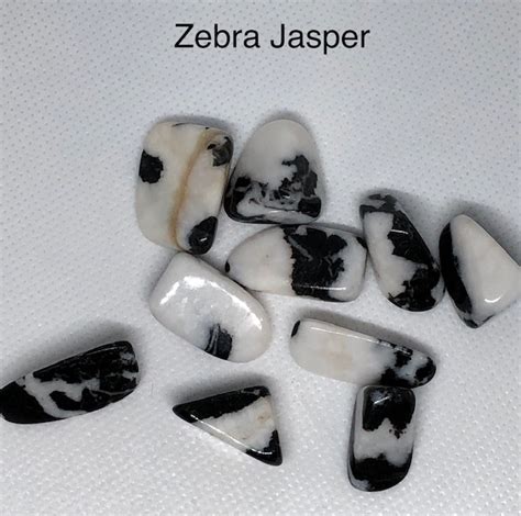 Zebra Jasper The Crystal Kingdom Academy