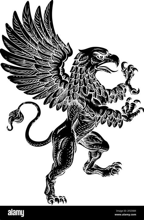 Griffin Rampant Griffon Coat Of Arms Crest Mascot Stock Vector Image