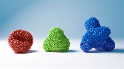 Stem Cells Can Help Build Lab Grown Organs That Mimic Real Life