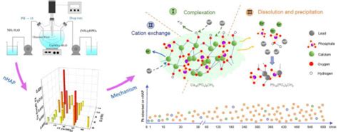 两步超声制备的纳米羟基磷灰石对铅动态吸附的见解。 Chemosphere X Mol