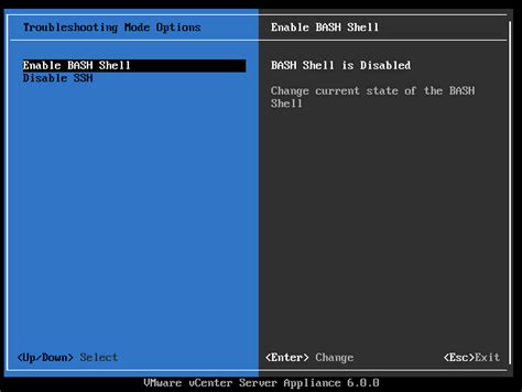 Virtualization The Future Vcsa Aka Vcenter Server Appliance 60 Dcui