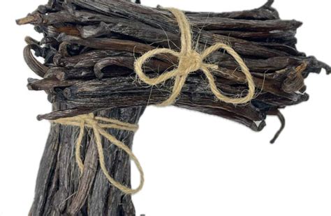 Diy Vanilla Bean Extract Making At Home And Choosing The Right Vanilla Bean Rakamin Academy