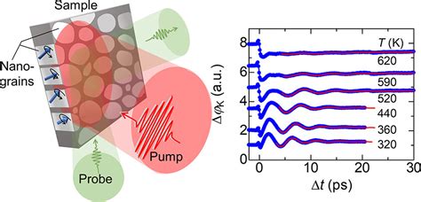 Thermal Modulation Of Magnetization Dynamics In Nanometer Thick L10