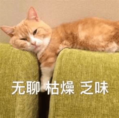 pyhton数据预处理利用pandas模块找出两excel表格差异并进行字段值比较 墨天轮