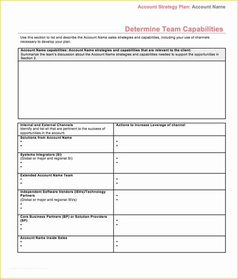 Key Account Plan Template Free Download Of Key Account Management Ppt