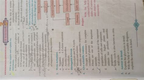 66666666666666666 Exercise Fill In The Blanks And Explain The Statements
