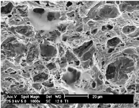 Sem Images Showing A Trans Granular Fracture On Exposed Specimens In