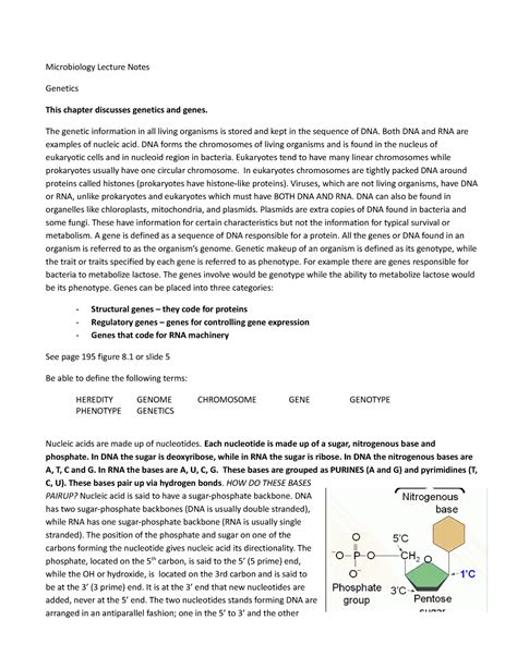 Microbiology Lecture Notes Genetics Chp 8 Microbiology Lecture Notes Genetics This Chapter