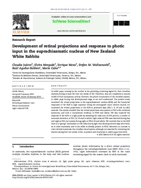 Pdf Development Of Retinal Projections And Response To Photic Input In The Suprachiasmatic