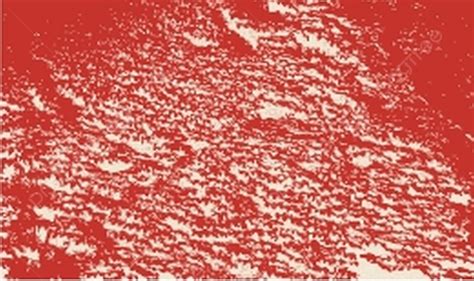 Rust Texture Abstract Aged Antique Background Graphic Burnt Art Background Image For Free