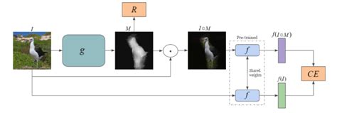 Learning A Weight Map For Weakly Supervised Localization