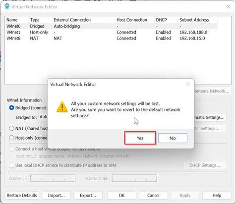 networking and internet connection issues in vmware no internet