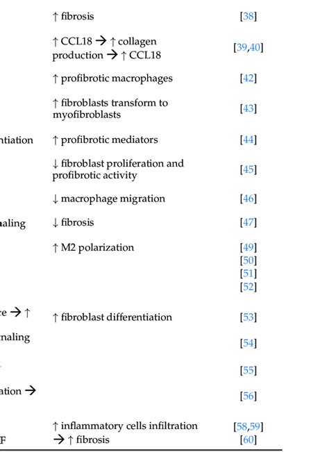 Signaling Pathways Of Macrophages In Ildpf In Anima Decrease