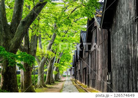 山形 山居倉庫 ケヤキ並木と倉庫群の写真素材 126574649 Pixta