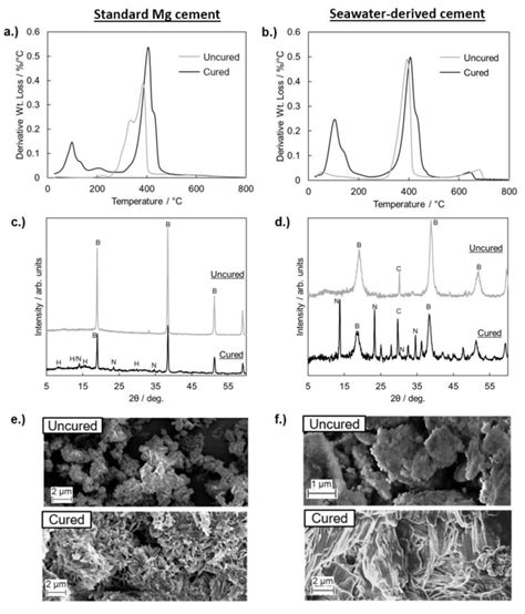 Microstructural Characterization Of Standard Left Column And Download Scientific Diagram
