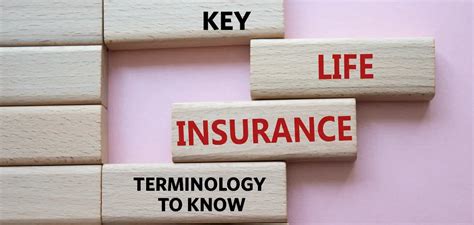 Essential Life Insurance Terms You Should Know Indiafirst Life
