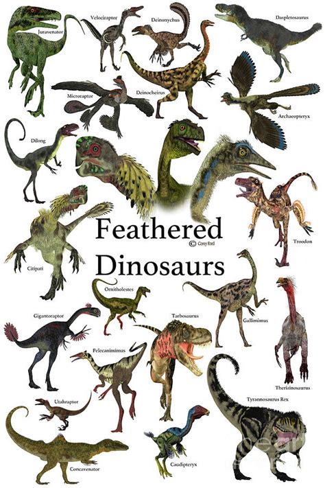 Feathered Dinosaurs Digital Art By Corey Ford Pixels