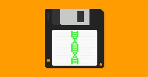 To Protect Genetic Privacy Encrypt Your DNA WIRED