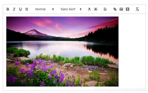 vue quill editor element 实现富文本自定义上传图片和视频 vue quill editor富文本编辑器结合