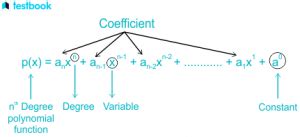 Zero Polynomial Definition Degree And Solved Examples