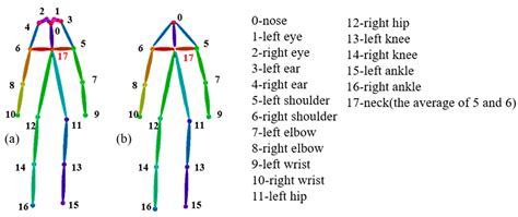 Sensors Free Full Text Fall Detection Method For Infrared Videos