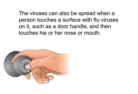 Influenza Flu