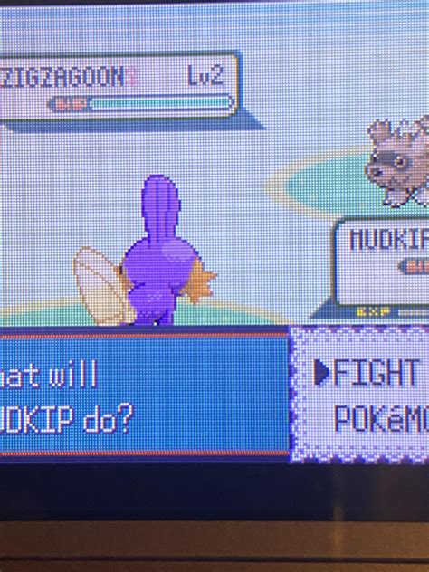 [3] Shiny Mudkip In Emerald Using Rng Manip I Now Know My Secret Id And Hope For Many More