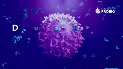 Genscript Probio On Linkedin Antibody Discovery Biologics Genscript Probio On Linkedin Antibody Discovery Biologics