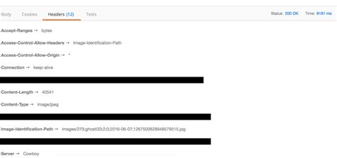 Reactjs Cant Access Cross Origin Response Header From Frontend