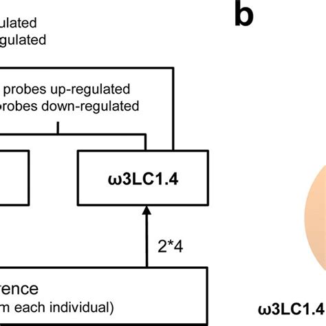a overview of the microarray experimental design and results with the