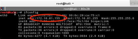 SQL Injection With SQLMap Hacking With Kali