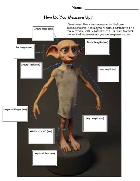 Dobby Length Measurement Activity By Gillyweed Gallery Tpt
