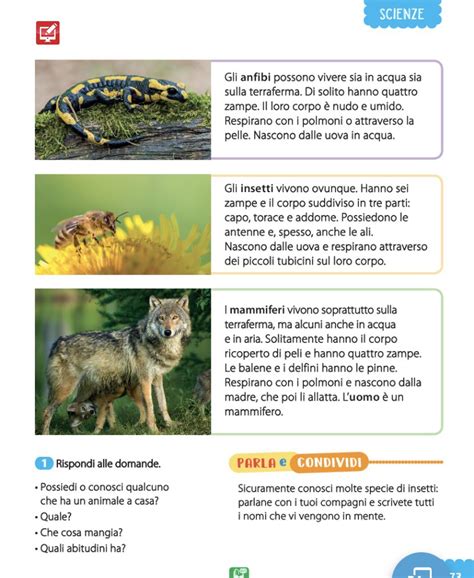 Vertebrati Schema Artofit