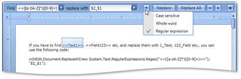 richeditcontrol searchpanel property wpf controls devexpress