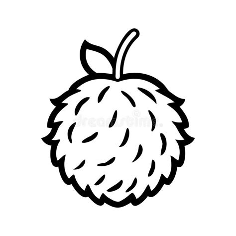 Lychee Icon Minimalist Line Drawing Of A Ripe Lychee Stock Vector Illustration Of Design