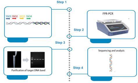 Implementation Of Fusion Primer Driven Racket Pcr Protocol For Genome
