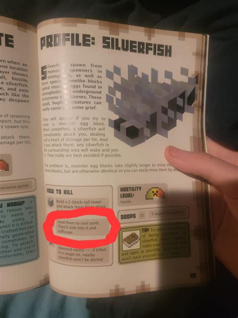 Did This Get Removed R Minecraft