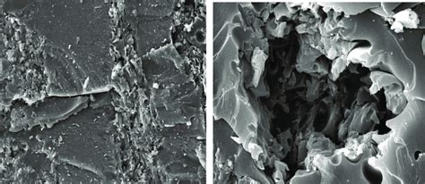 Sem Image Of Microstructure Of The Vicinity Of Macrocrack Within Download Scientific Diagram