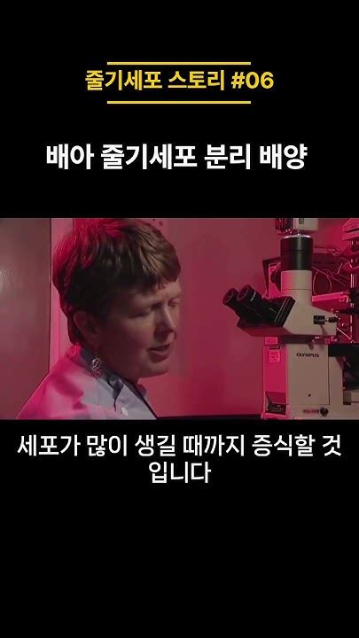 배아 줄기세포 분리 06 줄기세포란 무엇이고 어디에서 왔으며 우리는 줄기세포에 대해 실제로 무엇을 알고 있습니까 줄기
