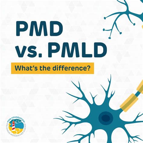 Pmd Vs Pmld What S The Difference The Pmd Foundation Posted On The Topic Linkedin