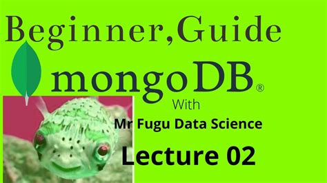 How To Tutorial Mongodb Update Indexes Aggregate Nested