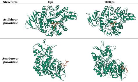 Initial And Final Structures Of Compound Alpha Glucosidase Complexes