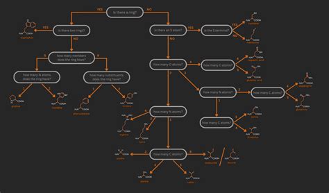 Flowchart For Naming Amino Acids Idk If Anyone Will Find This Useful