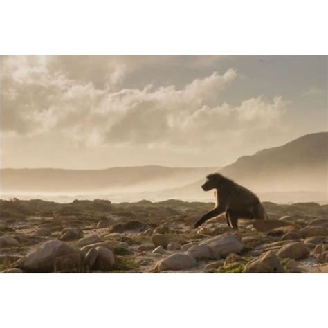 Gareth Bennett On Linkedin I Often Forget To Check This Site But I